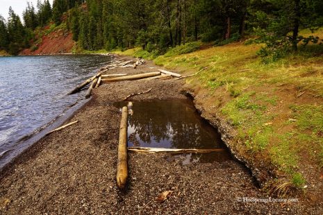 Belknap Hot Springs | Oregon Cascades - Hot Springs Locator