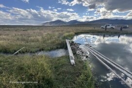 Heise Hot Springs – A Historic Resort with Mineral Pools and Outdoor ...